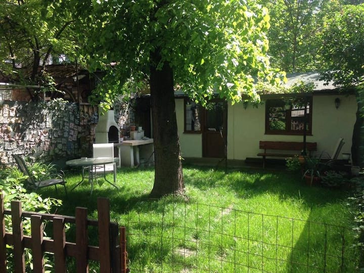 Cozy All You Need House In The Center Of Sofia - Sofia