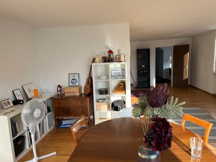 Schönes Dachzimmer In Grosser Wohnung Mit Terrasse - Bâle