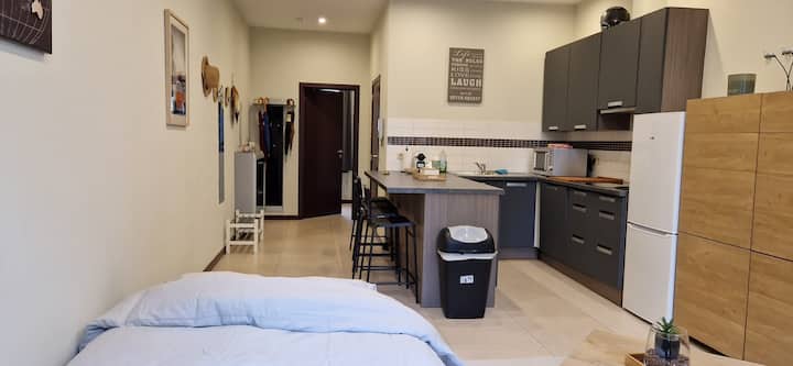 Bruxelles Centre Appartement 1 Chambre - Brussels