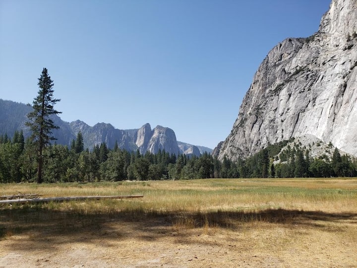 Serenity Corner In Pine Mountain Lake - Yosemite National Park