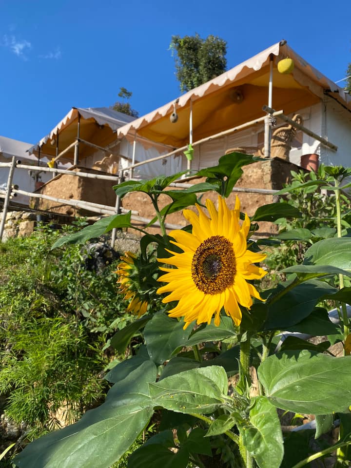 Unique Stay In Mussoorie: Luxury Swiss Tents - 穆索里