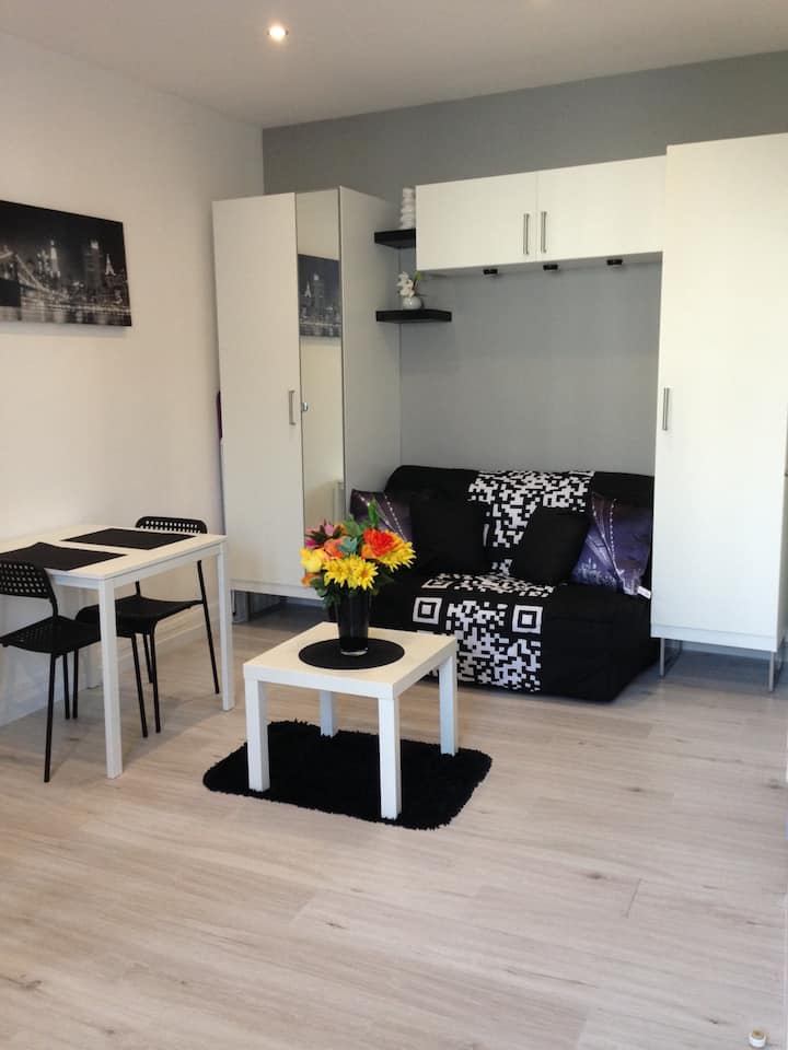 Studio 20m2 Centre Aix Les Bains Meublé/équipé 2* - Aix-les-Bains