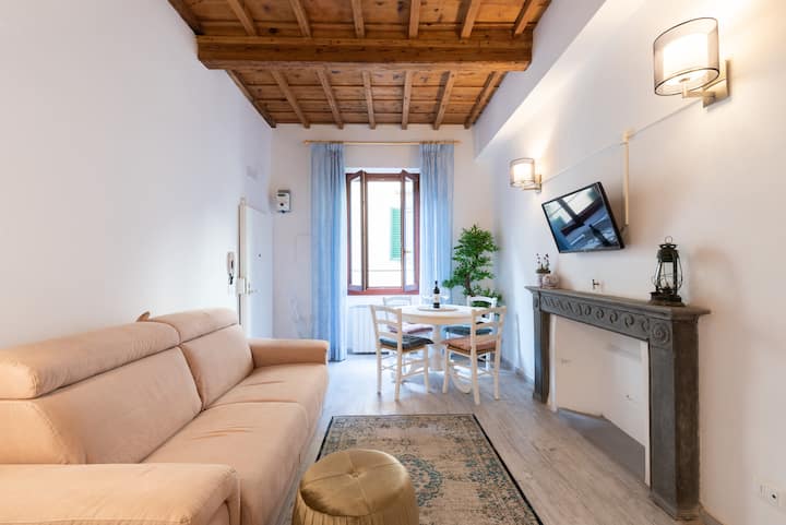La Rosa Blu - Apartment Historical Center - Florence