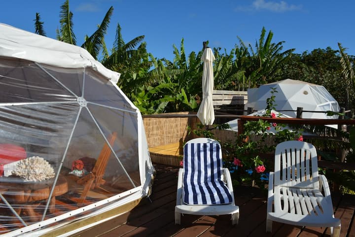 Mamma Nui Glamping Restorant - Easter Island