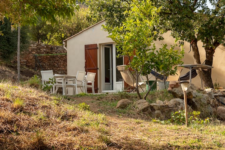Maison Avec Terrain Arboré Dans Village . - Algajola