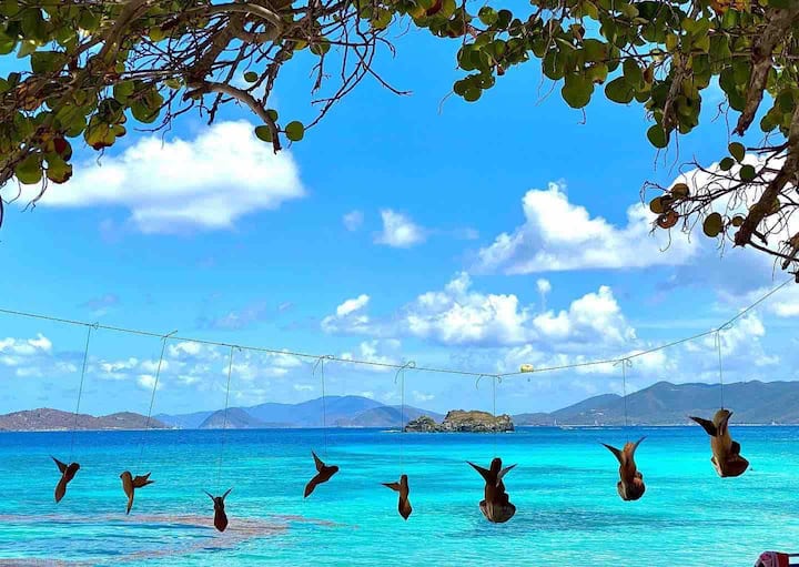 Sapphire Sea And Sand Studio - Saint Thomas