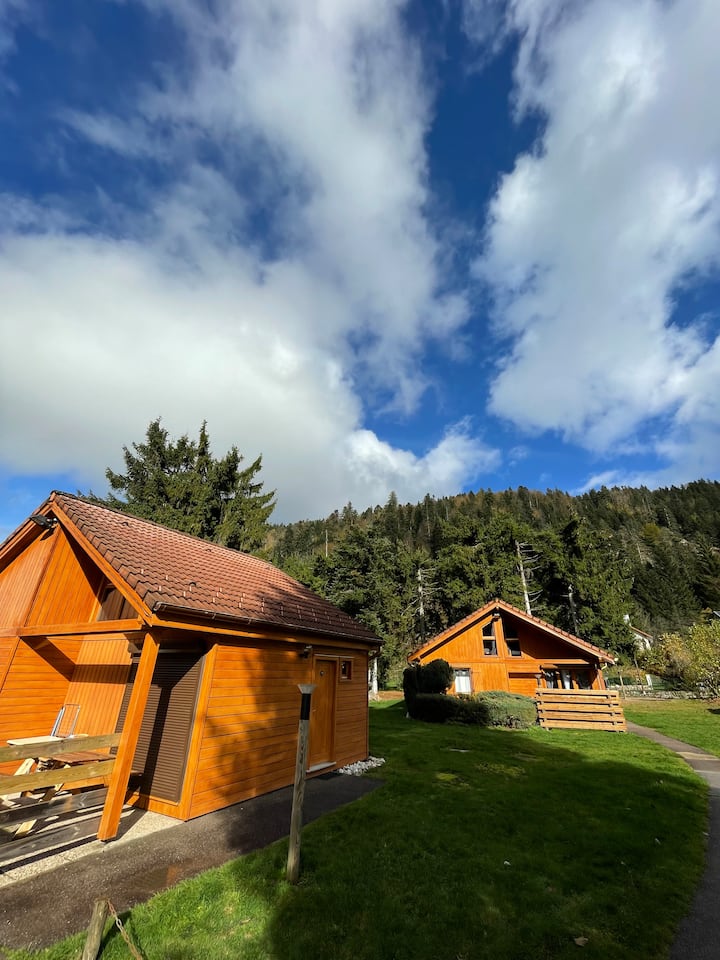 Demi Chalet Myosotis 3 - Gérardmer