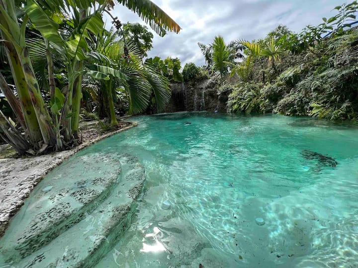 Casa Papaya Miami + Private Waterfall - Homestead, FL