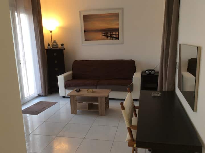 Charmant  F1 Avec Balcon ,Et Parking Dans Villa - Mouans-Sartoux
