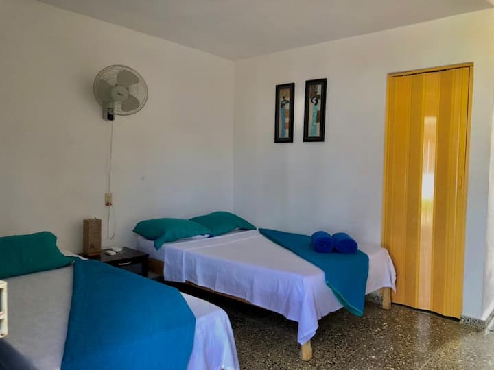 Casa Isidro (El Músico) Y Diana - Viñales