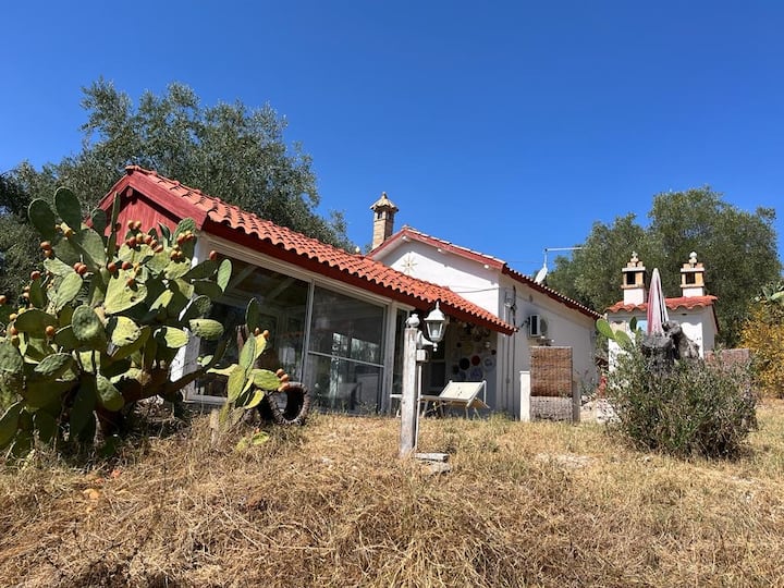 Casa In Campagna: I Tre Archi - Pisticci