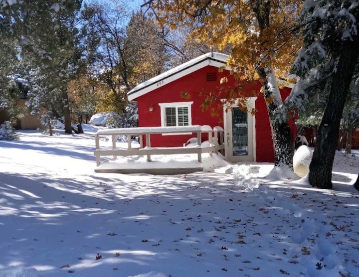 Forest’s Edge - A Place For Nature Lovers - Sugarloaf