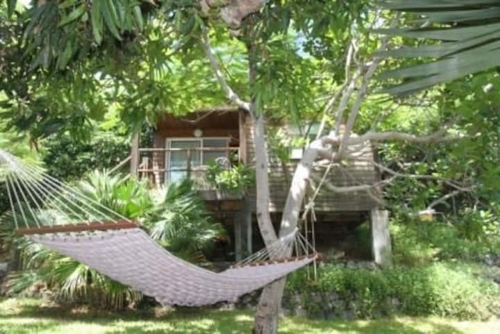 Le Bois De Senteur - La Réunion