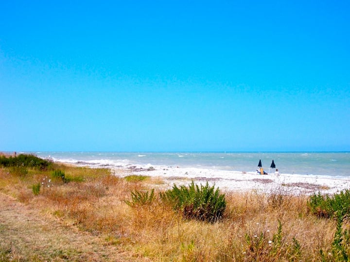 Splendido Piano Terra A 20 Mt Da Mare E Pineta - Pineto