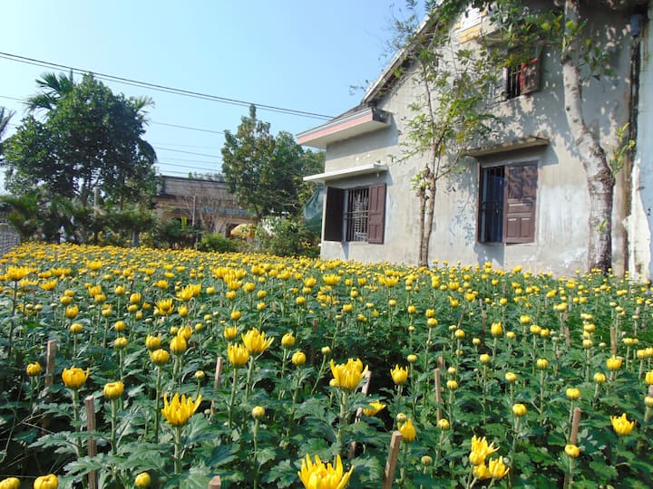 Flower Village 1- Rose Garden View - Hội An