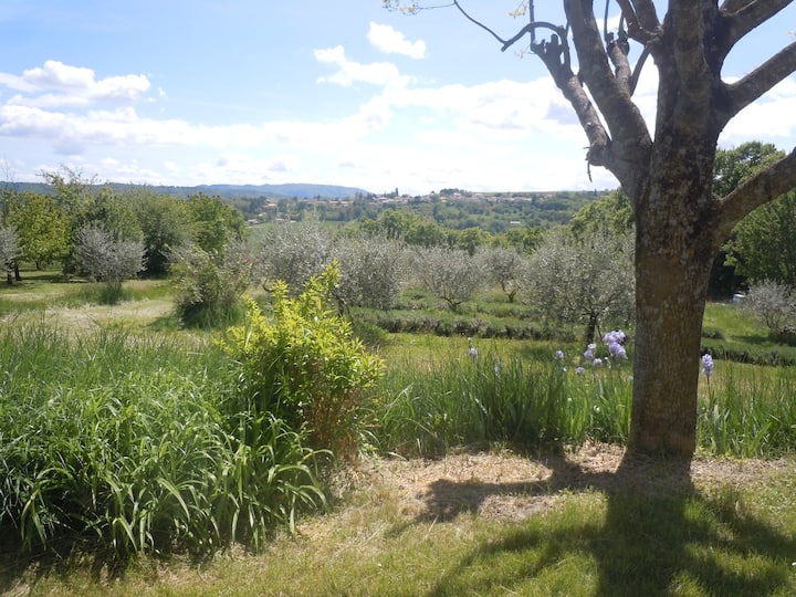 Gîte Dans Le Calme Des Oliviers Et Lavandes - Forcalquier