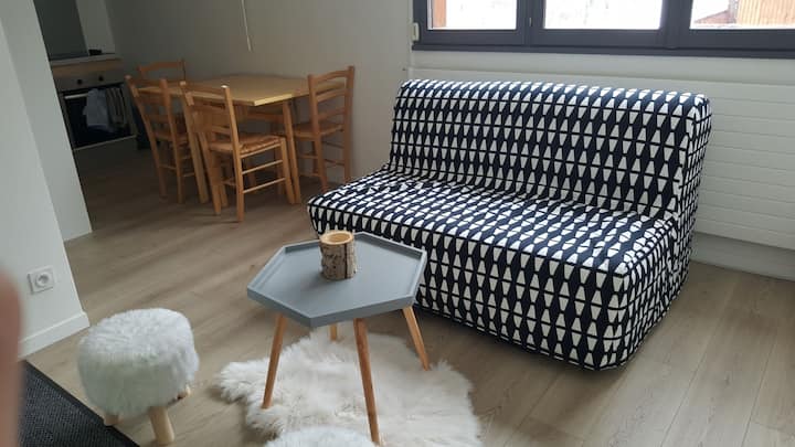 Studio 2 à 4 Personnes Villard De Lans - Méaudre