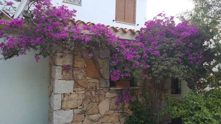 Tanaunella Residence - Posada