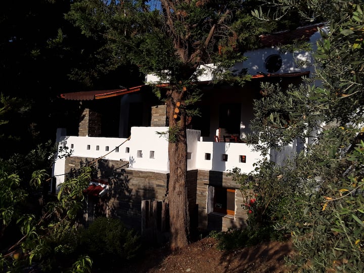 Chalet Master House - Grèce