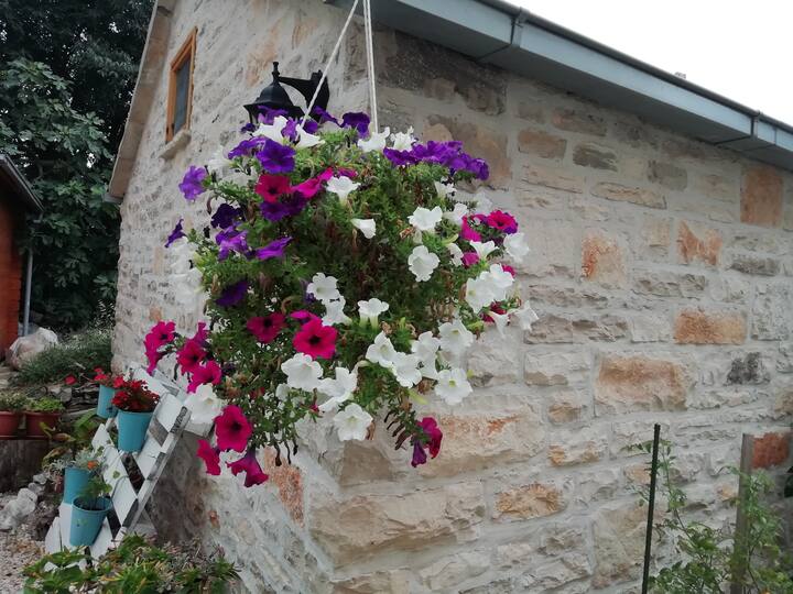 Apartment Stone House Harmony - Korcula