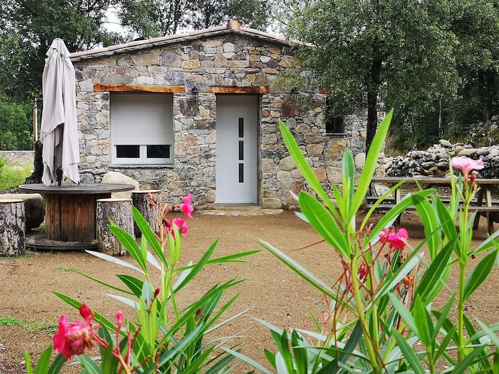 Chambre De Charme Domaine Rondini Tra Mare E Monti - Asco