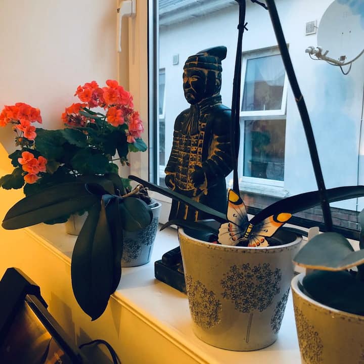 Bohemian Stay Over In The Heart Of Killarney - Killarney