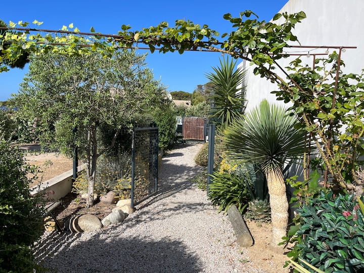 Studio Proche De La Mer - Calvi