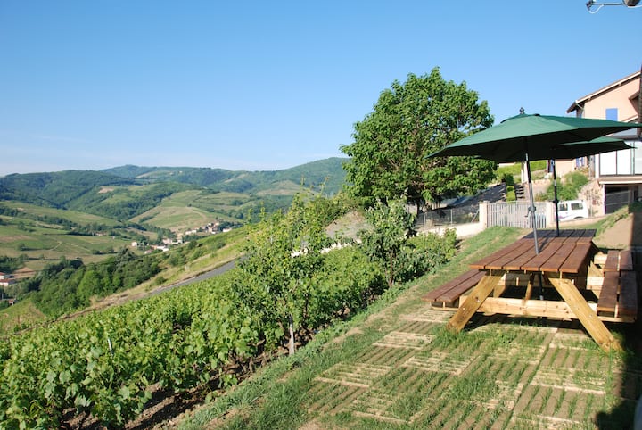 Grand Gite Dans Le Vignoble Du Beaujolais - Beaujolais