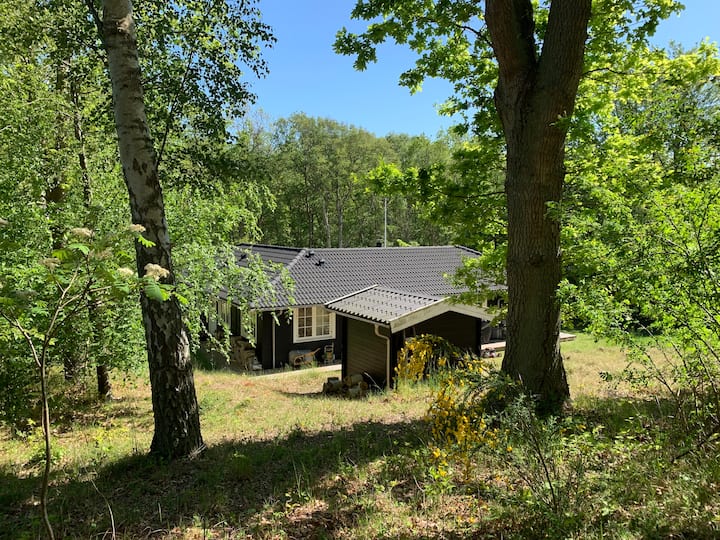 Unique Cottage On Nature Plot 200 M To The Beach - Denmark