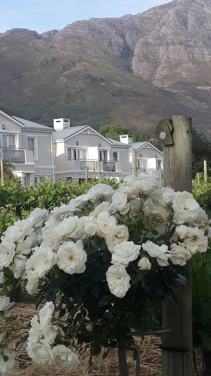 Franschhoek - Stunning! 1 Bed En Suite Apartment. - Franschhoek