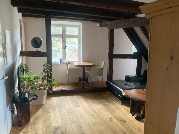 Ulm Mitte 2 Raum Wohnung Mit Balkon, Münsterblick - Ulm