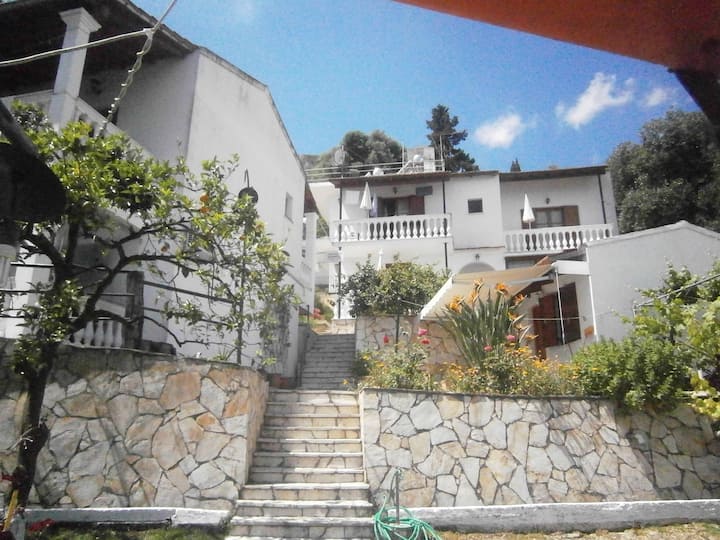 Pantazis Studio No 4 - Corfu