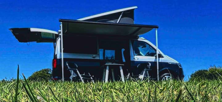 Your Adventures Start Here With - Gertie - Swindon