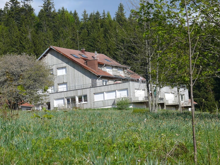 Résidence Les Angéliques Coteaux Des Gouttridos - Gérardmer