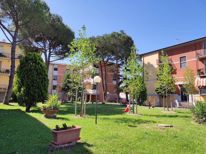 Pisa Da Scoprire. A Due Passi Dalla Torre. - Pisa