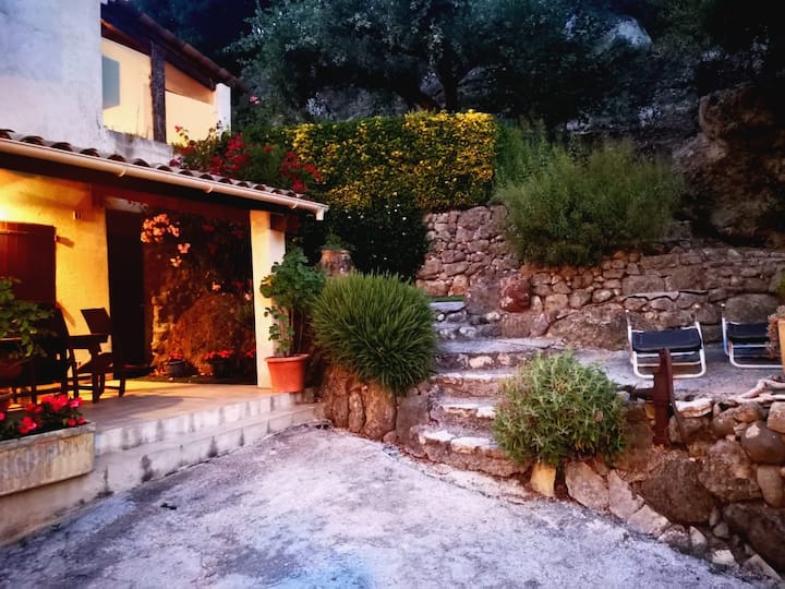 Studio à Biot Au Calme Dans Espace Boisé - Biot