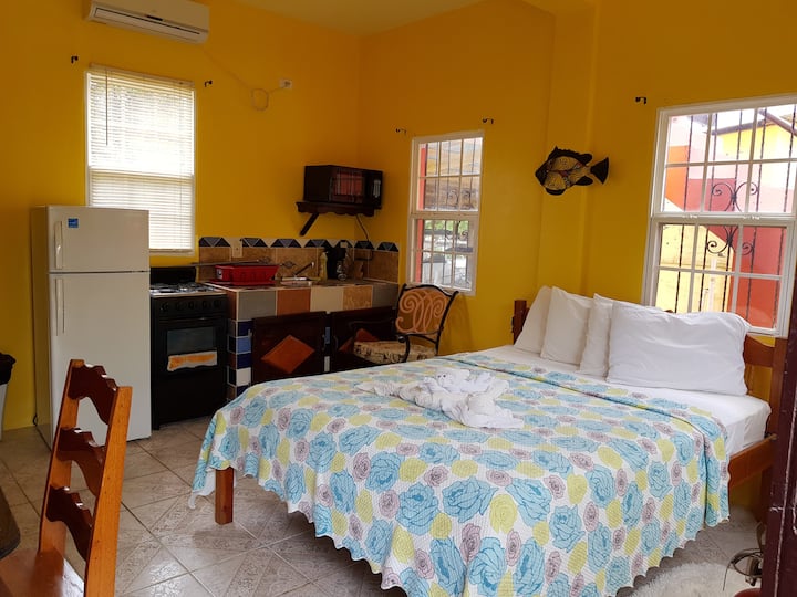 Sea House Apartment #4 (Lower Unit) - Placencia