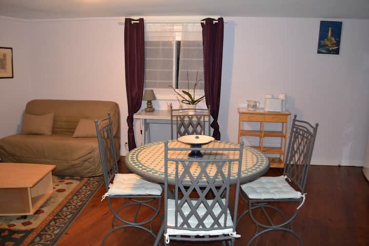 Bel Appartement Avec Cour Privative - Crozon