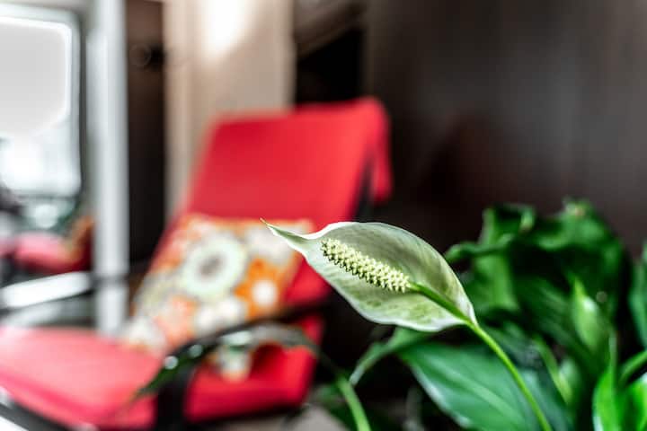 Cjour Loft Montréal - Montréal