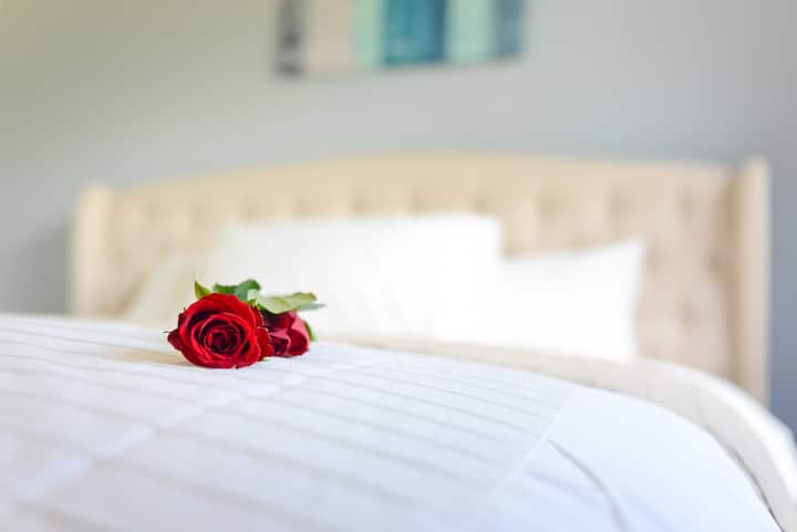 Delightful, Cozy & Modern House (Unfurnished) - Ivanhoe