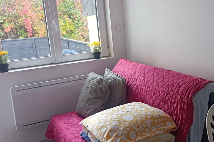 Studio T1 Au Calme Avec Terrasse - Villeurbanne