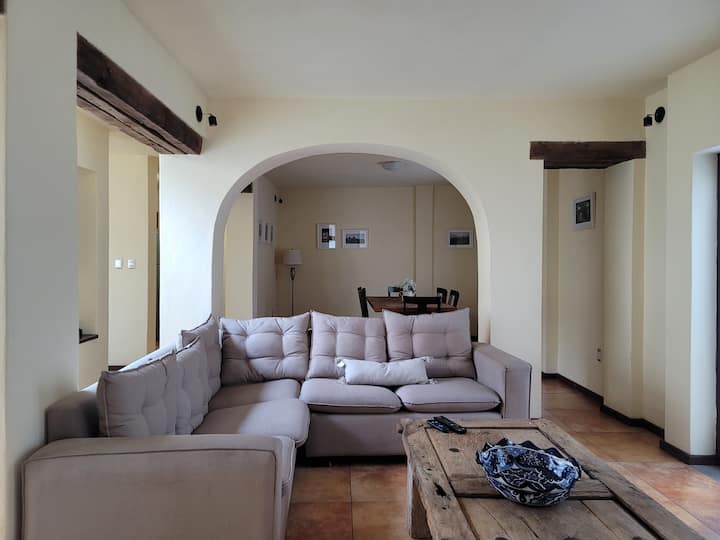 Grande Apartamento Zona Centro. Casa Azul. - 瓜納華托