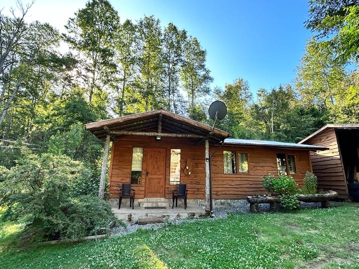 Hualle Forest Cabin - Neuquén