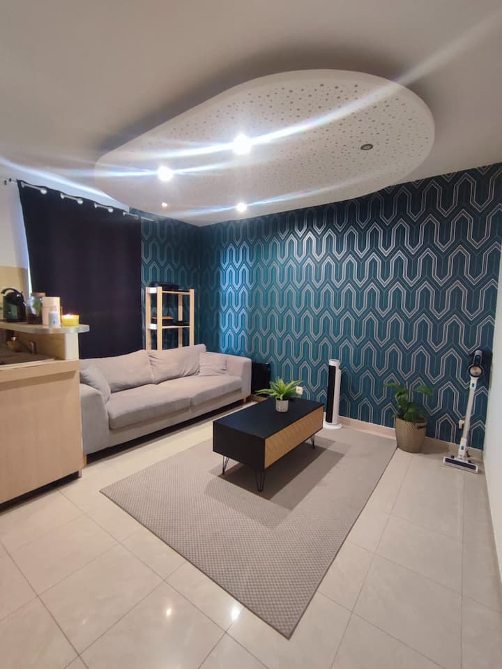 Appartement Sauna Projecteur Vidéo - Maisons-Alfort