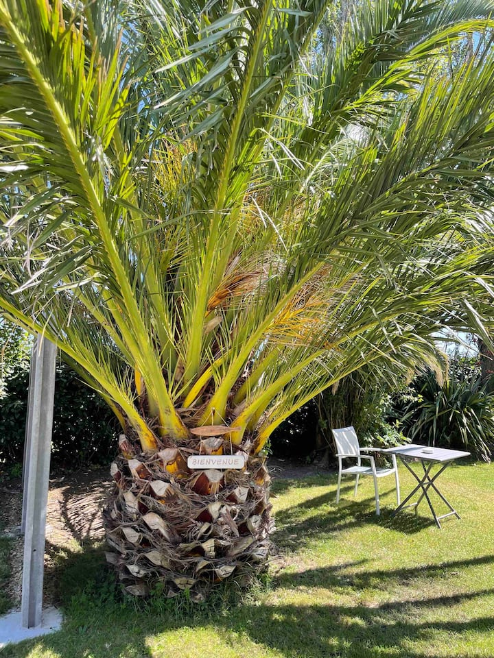 Appartement T2 100m De La Plage - Saint-Pol-de-Léon