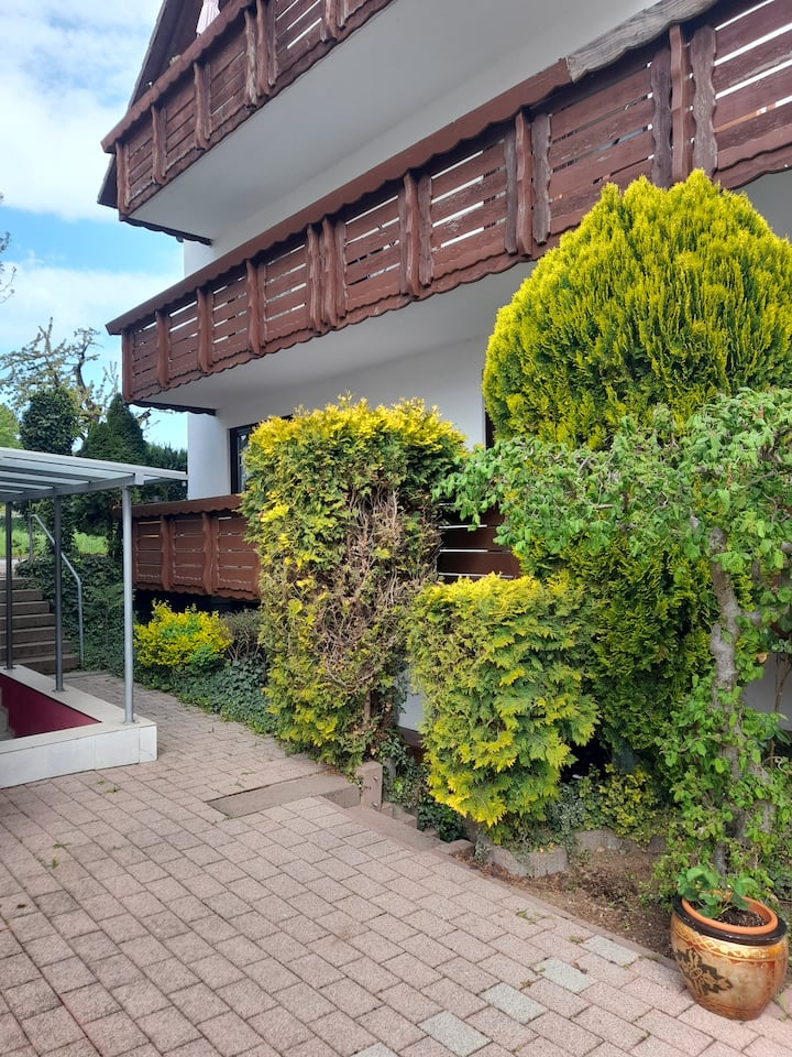 Souterrain Wohnung In Bensheim - Bensheim