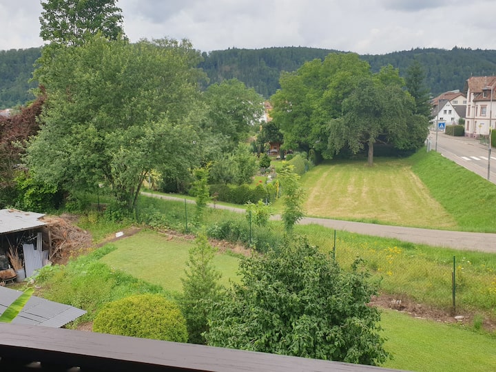 Zentrale Fewo - Schopfheim (+Wlan-zugang) - Schopfheim
