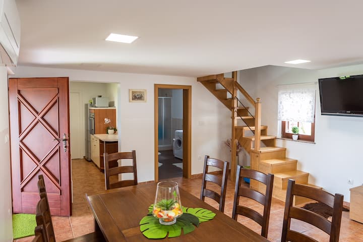 Wineyard Getaway House - Slovenia