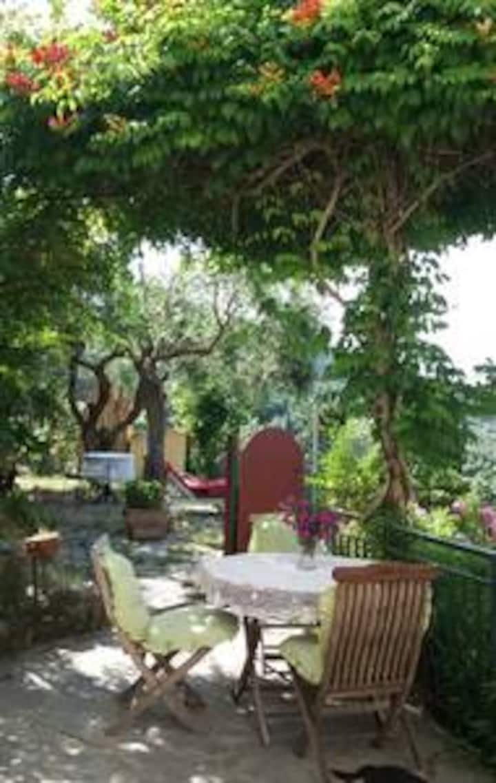Hilly Countryside 7 Km From Sea. Sea View. - Provincia di Lucca