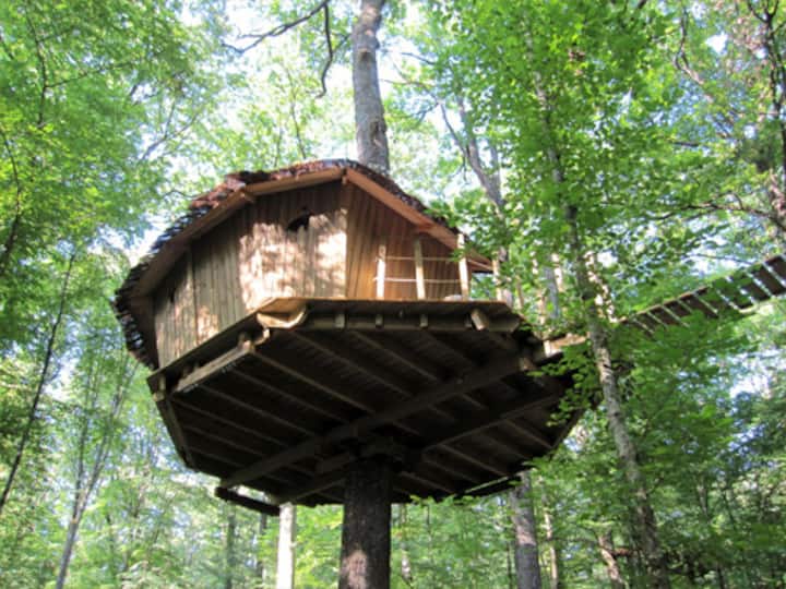 Cabane Martin-pêcheur - Droyes